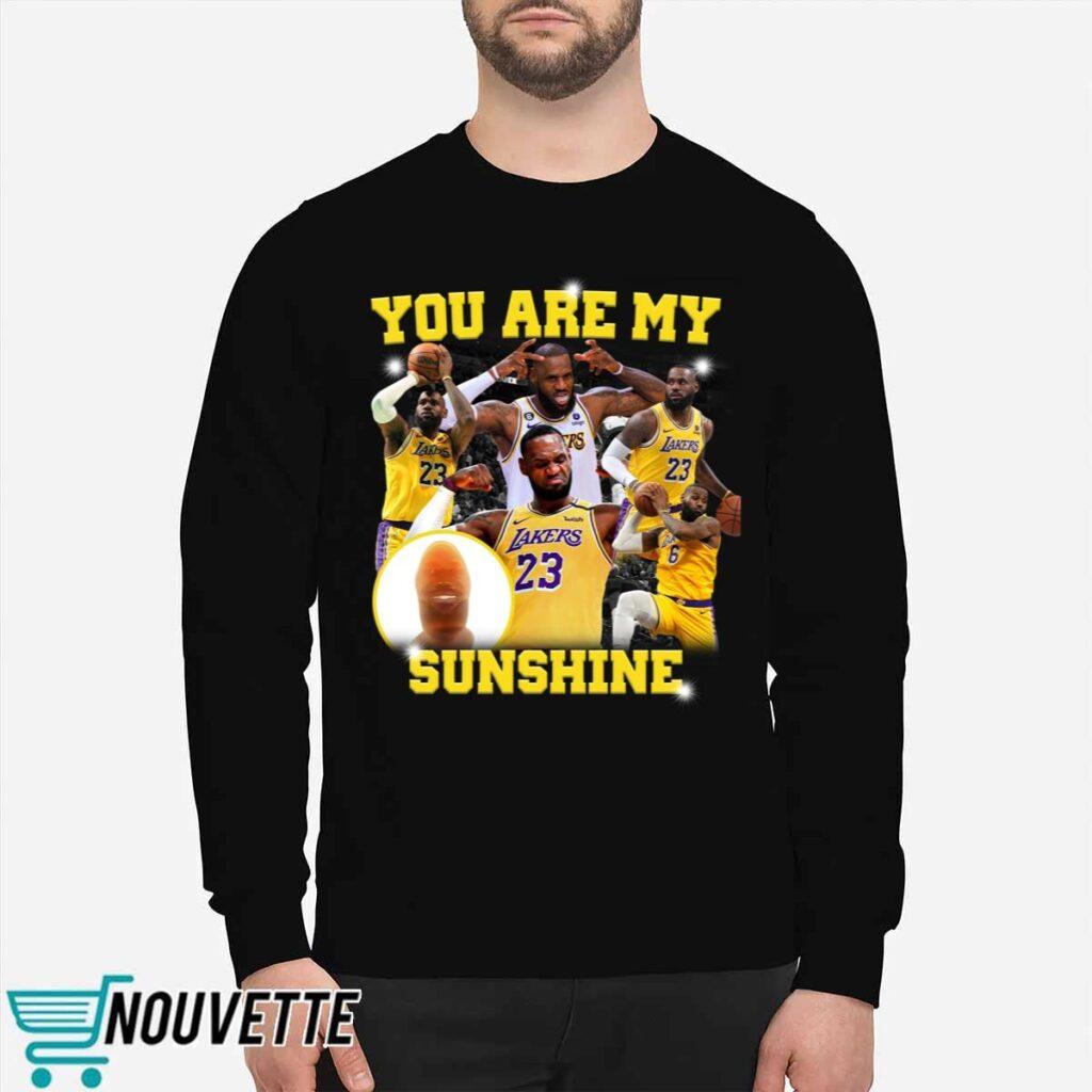 You Are My Sunshine Lebron Shirt - Nouvette